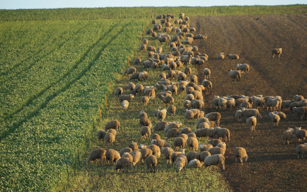 Crop Rotations - Agriculture-4-U